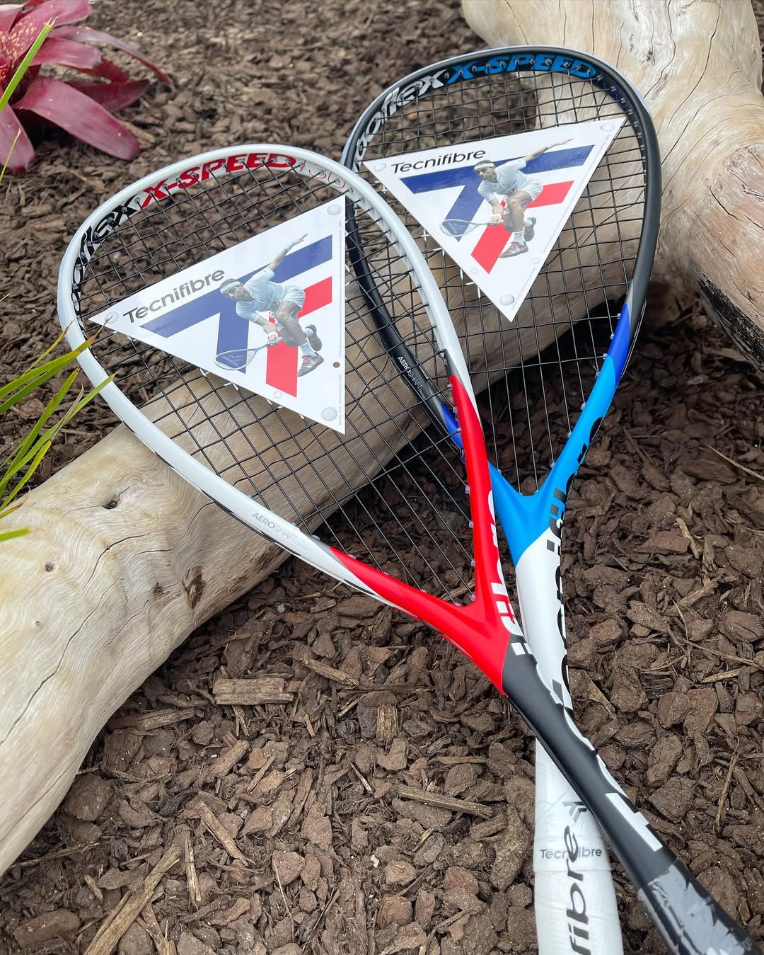 Buy Squash Rackets Online in India | Pro & Beginner Racquets – Prokick ...