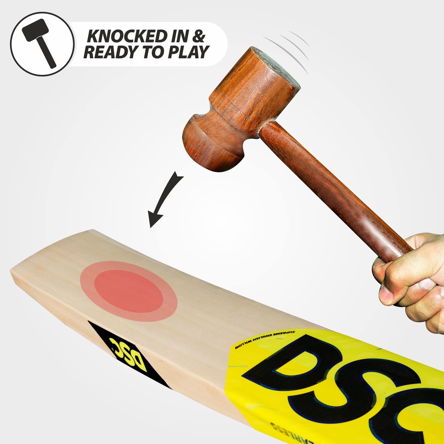 DSC Condor Drive English Willow Cricket Bat – Prokicksports